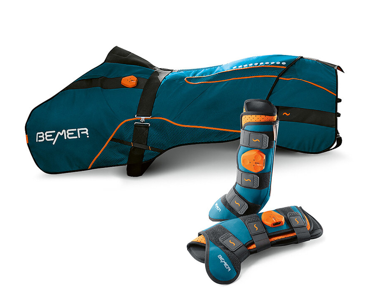 BEMER Equine Products | Equine Electronics